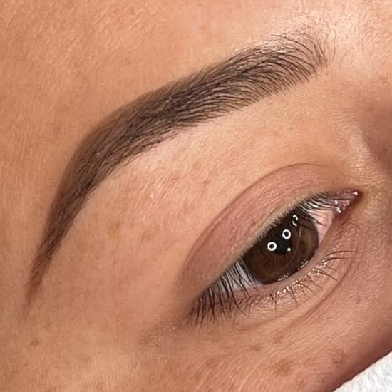 Henna Brows 101: Embrace This Temporary Option To Ombre Powder Brows!