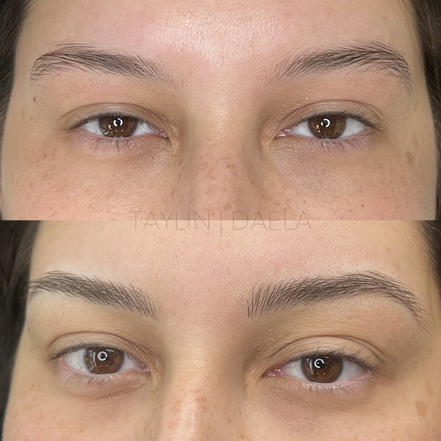 What Are The Different Brow Tattoo Techniques? | DAELA
