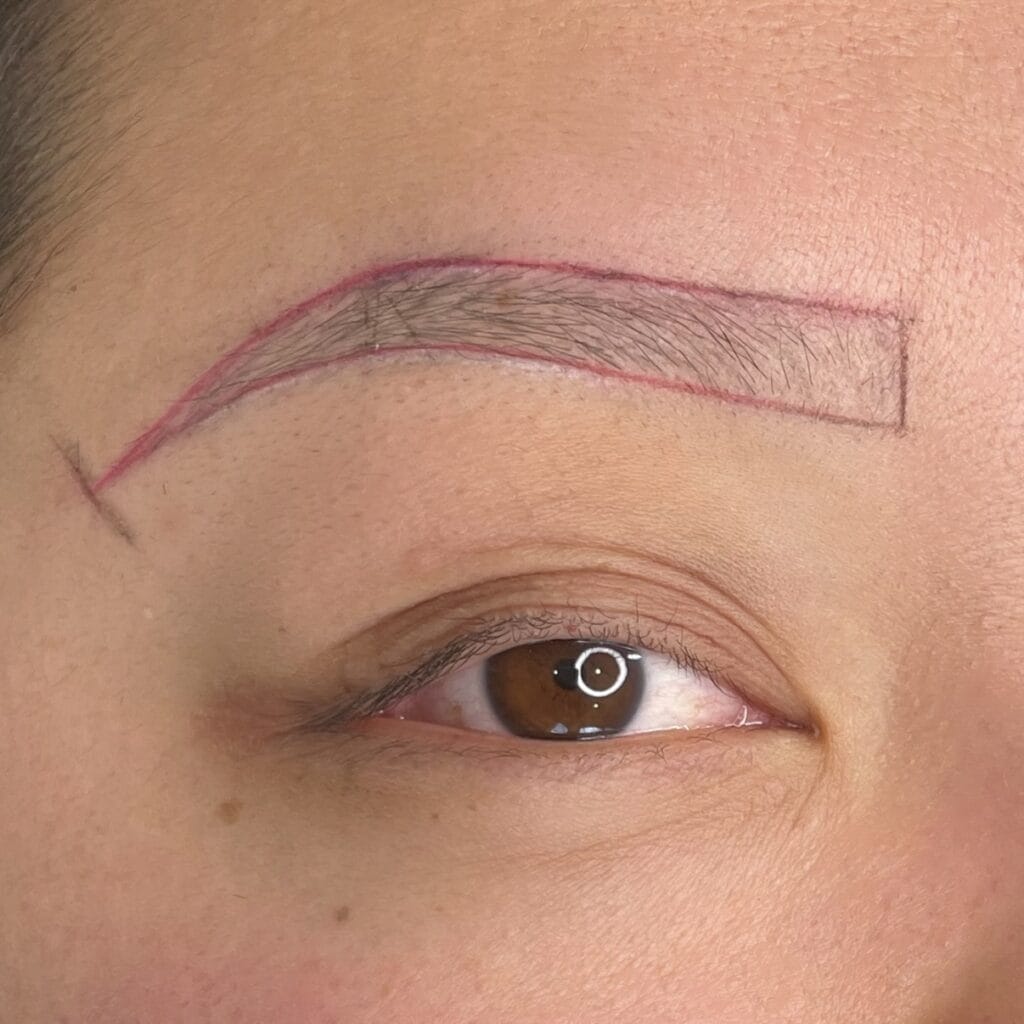 The Combo Brow: Hybrid Brow Perfection | DAELA