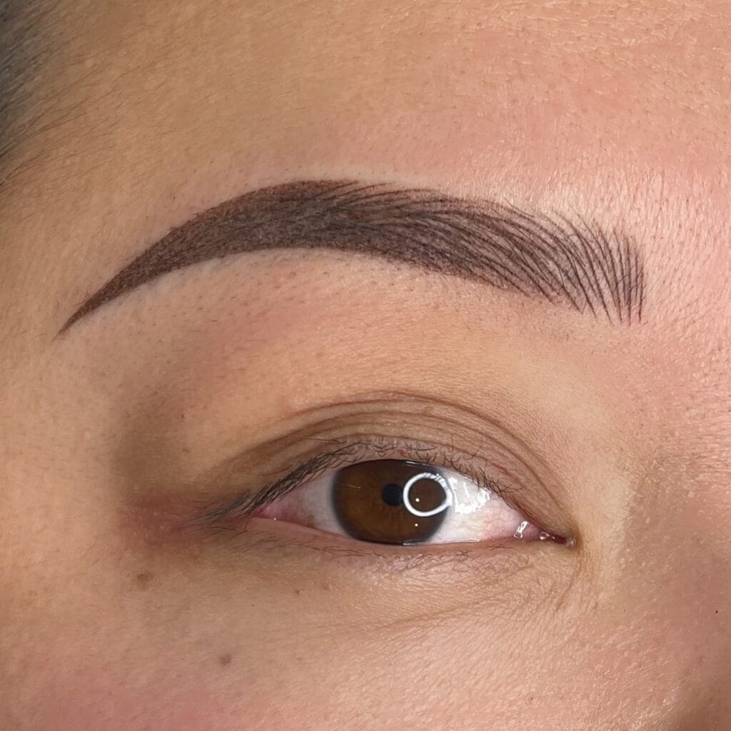 The Combo Brow: Hybrid Brow Perfection | DAELA