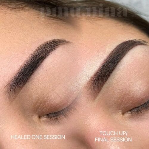 The Ombré Powder Brow Process | DAELA